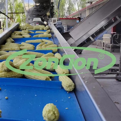 Zongon Fresh Corn Production Line - Company news - News